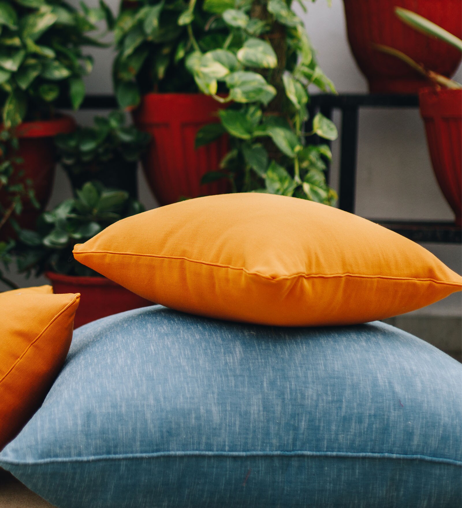 Buy Orange Cotton Plain Solid 12x12 Inch Cushion Covers (Set Of 2) by ...