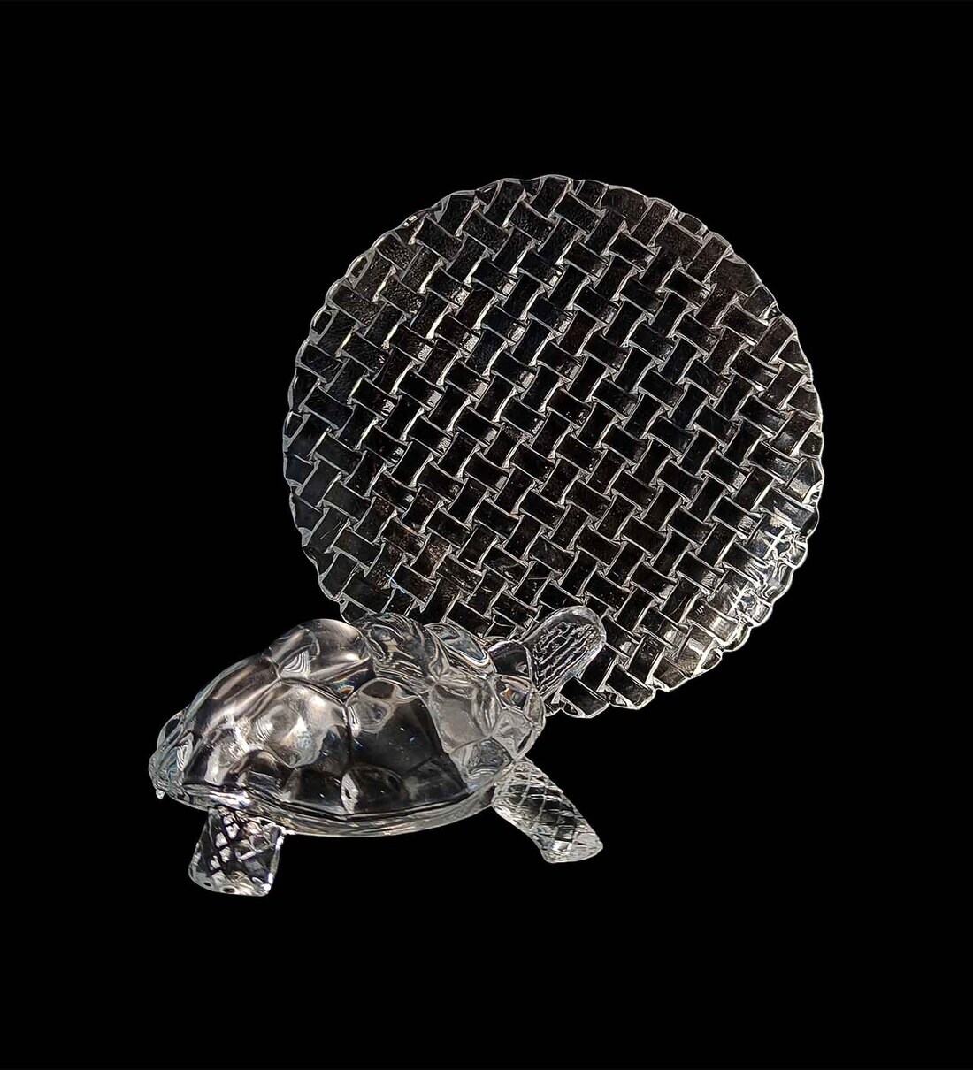 Buy Crystal Tortoise Transparent Glass Feng Shui at 33% OFF by VoiDrop ...