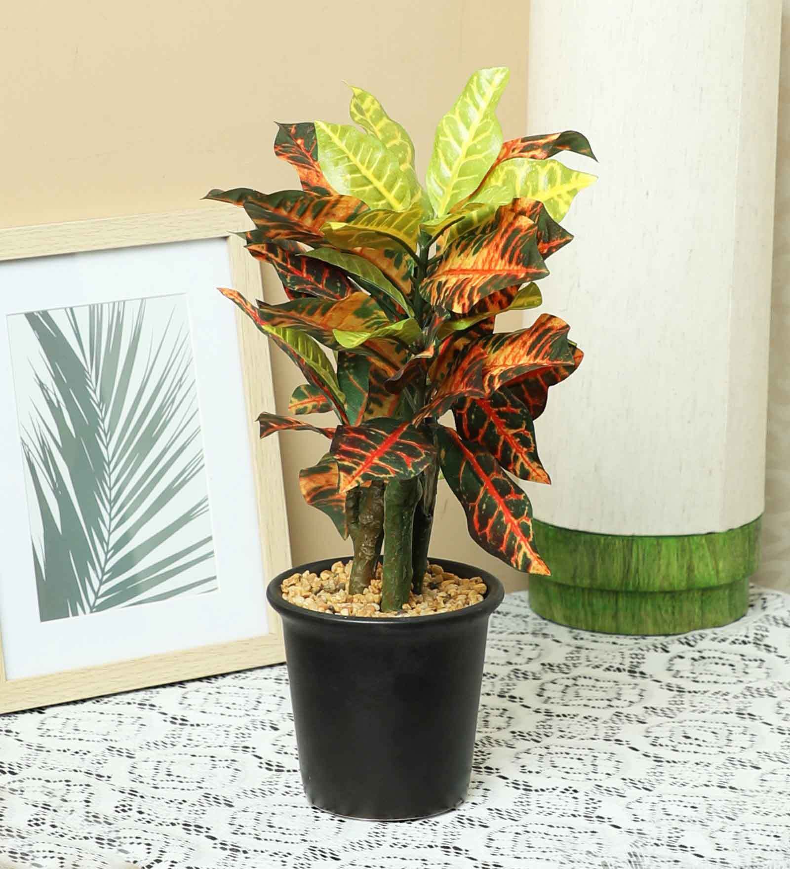 Buy Croton PVC Artificial Bonsai Plant with Black Ceramic Pot by ...