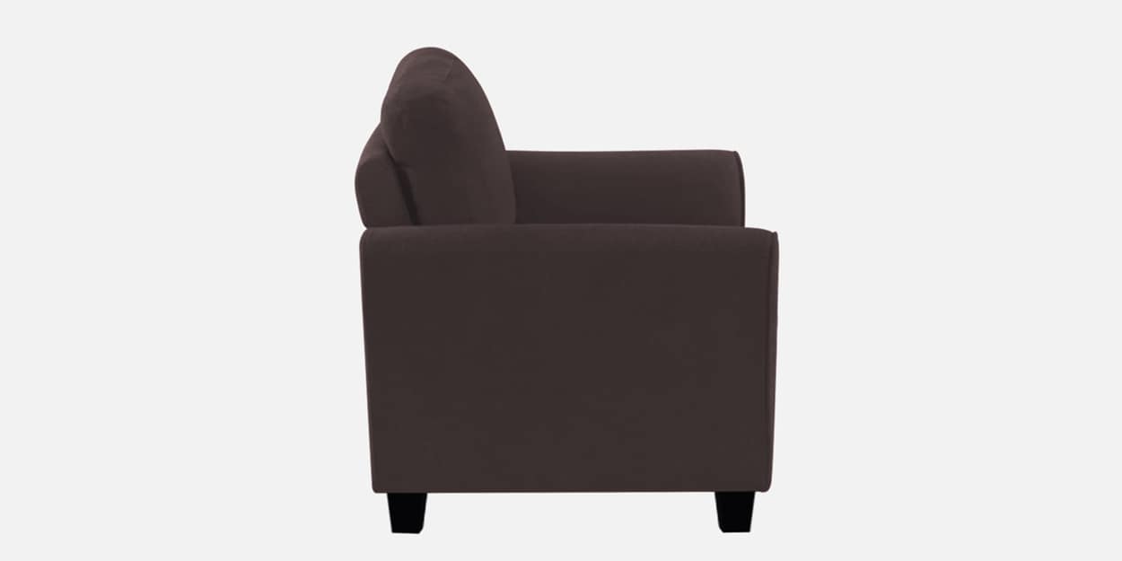 Buy Daroo Velvet 2 Seater Sofa in Mocha Brown Colour by Febonic Online ...