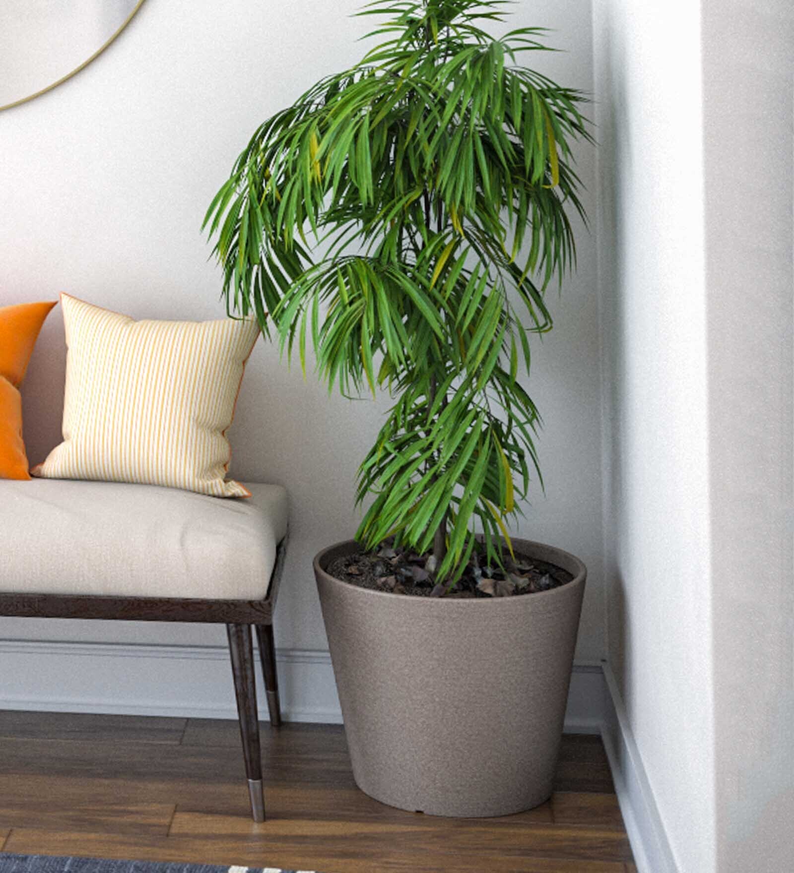 Buy Aloha Big Beige Polymer Floor Planter at 21% OFF by Planters ...