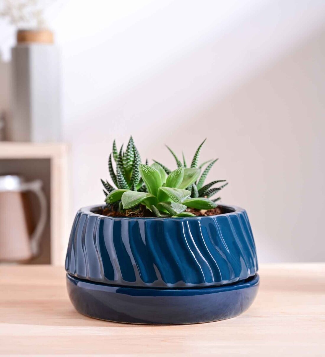 Buy Fallen Angel Medium Midnight Ceramic Planter at 25% OFF by Ugaoo ...