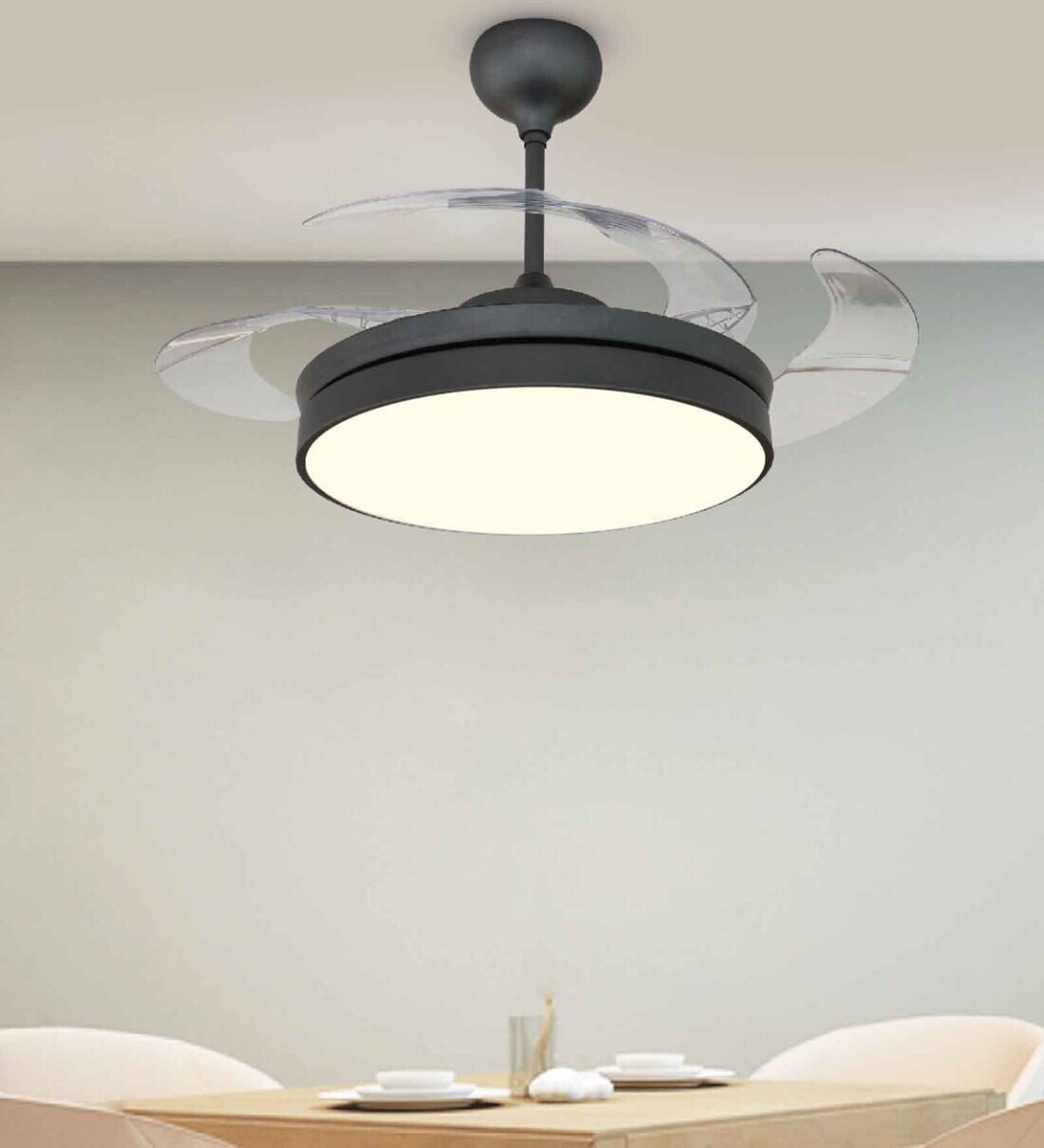 Buy Fanzart Venus 42\ Ceiling Fan With 4 x ABS Blades, Multi Coloured ...