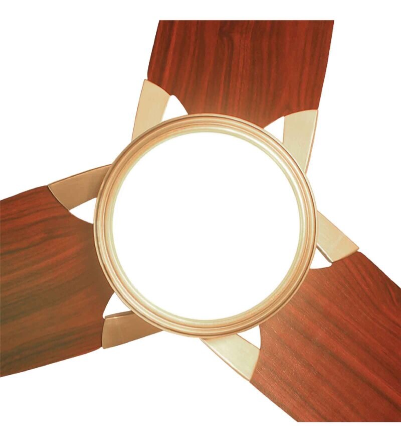 Buy Fanzart Propeller 52\ Ceiling Fan With 3 x Blades Multi Coloured ...
