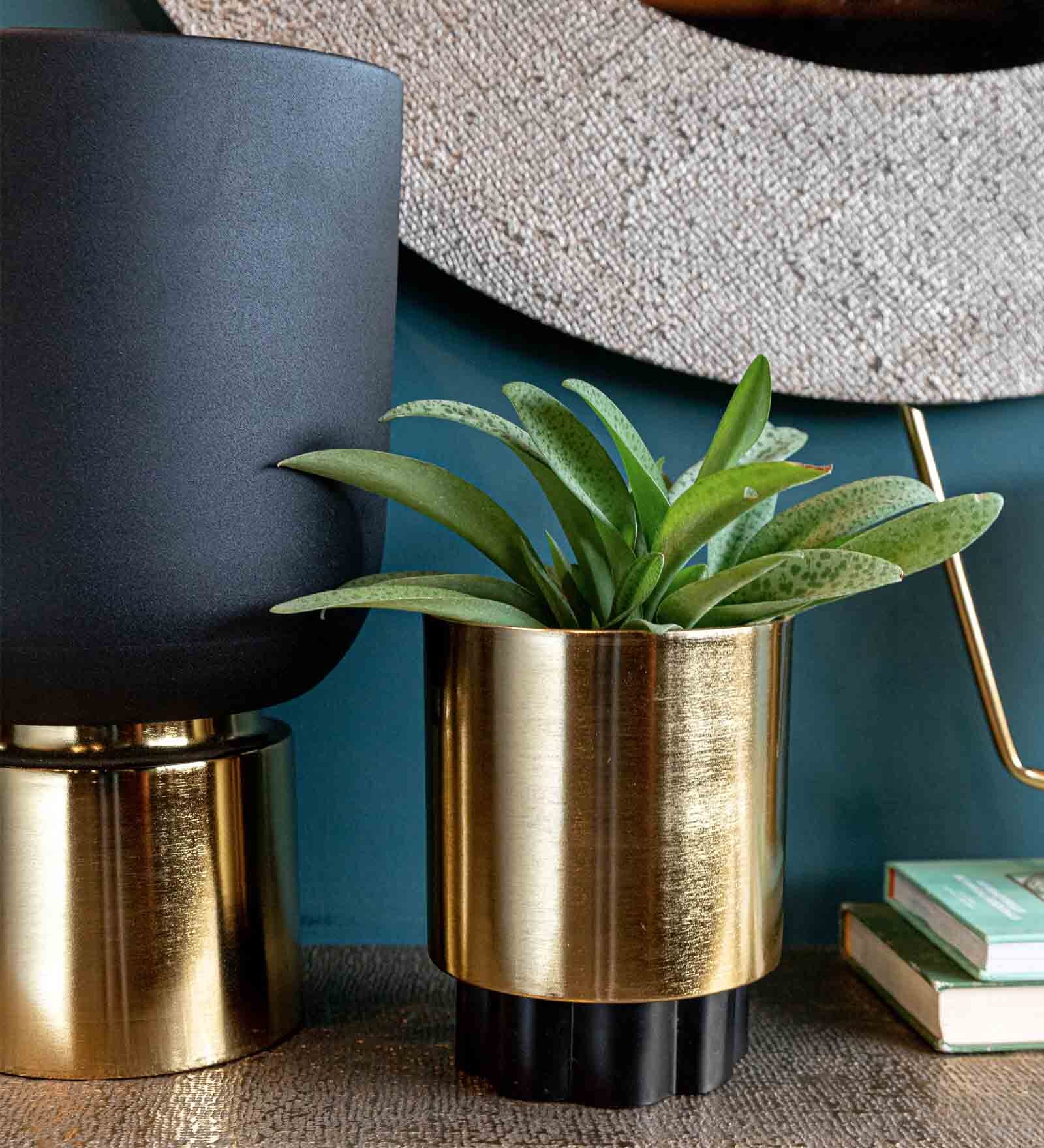 Buy Felicia Shiny Gold and Black Stainless Steel Floor Planter by Logam ...