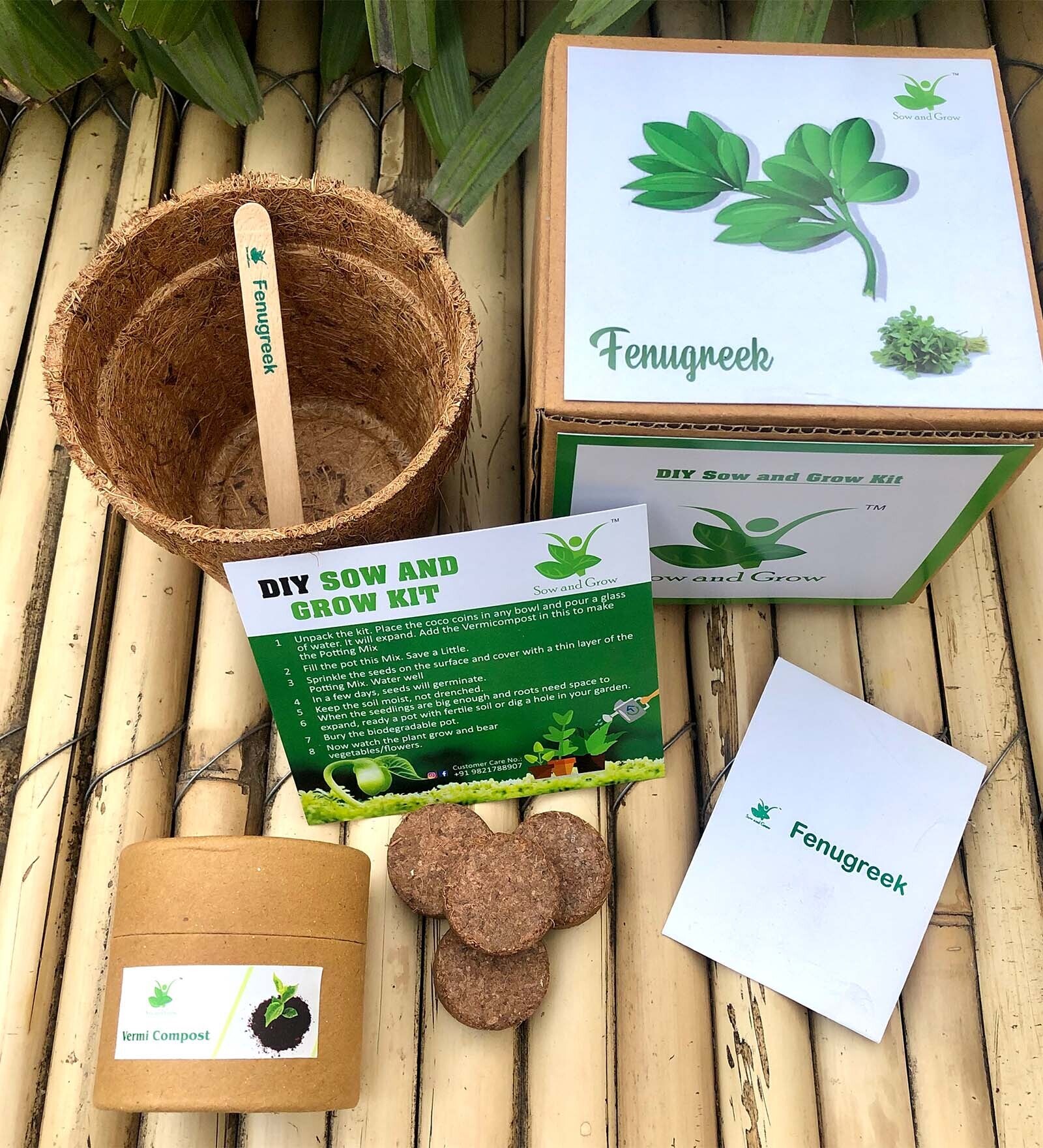 Buy Fenugreek (Methi) Vegetable seed Gardening Kit by Sow and Grow at ...