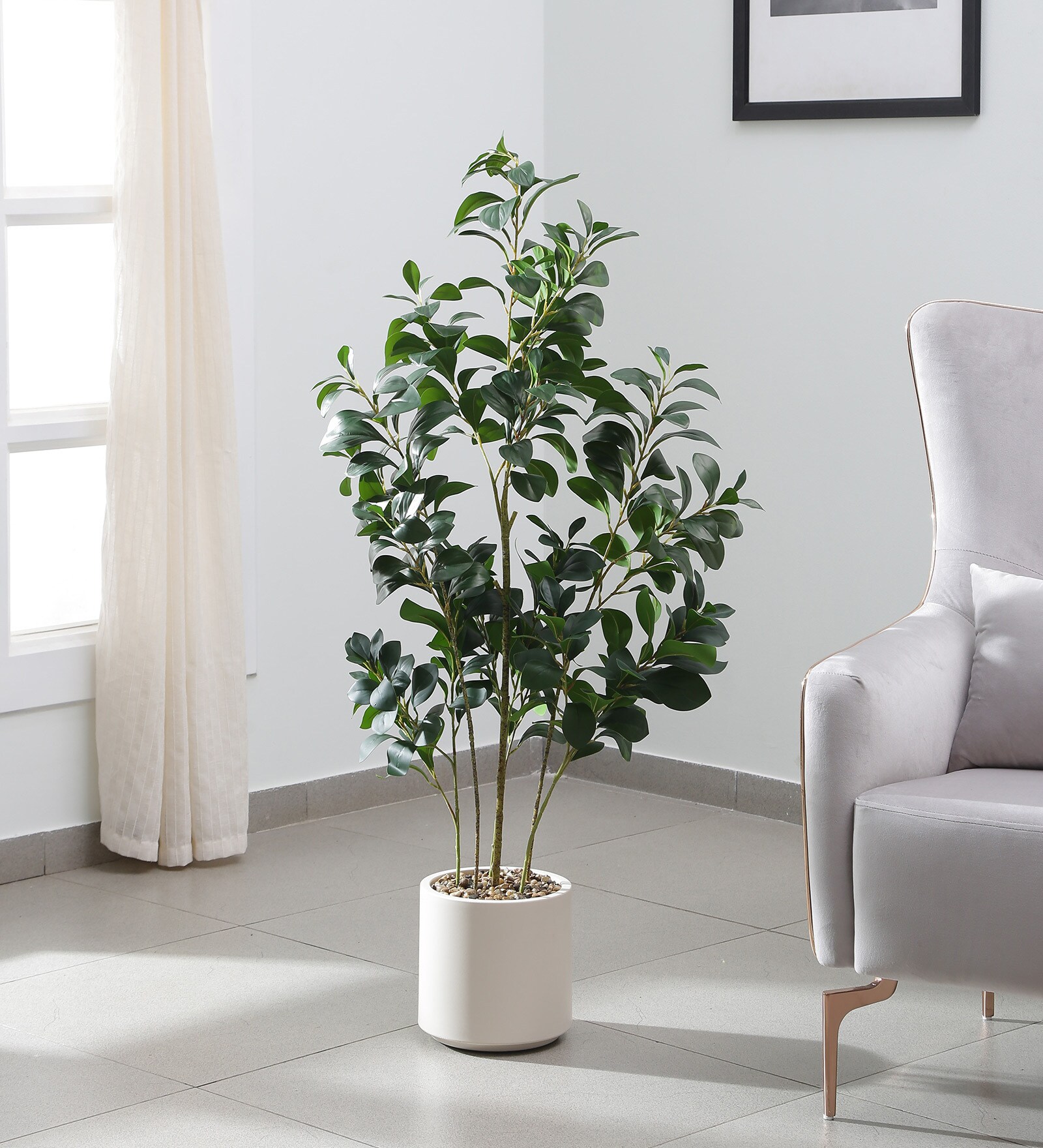 Buy Ficus Green Plastic Artificial Plant at 55% OFF by Arick Decor ...