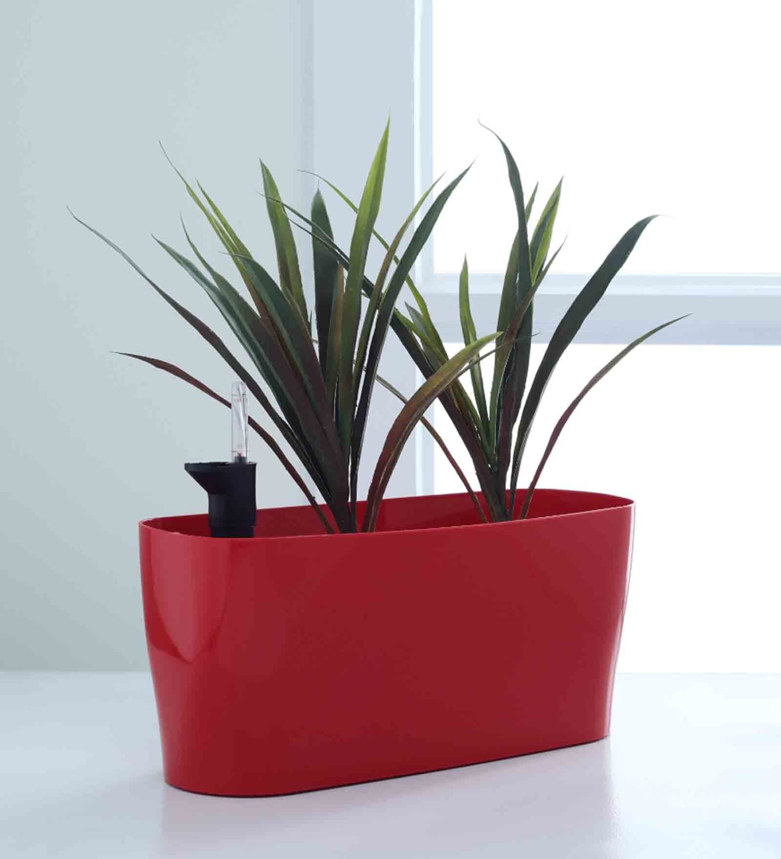 Buy Plastic Red Planter at 50% OFF by Planters | Pepperfry