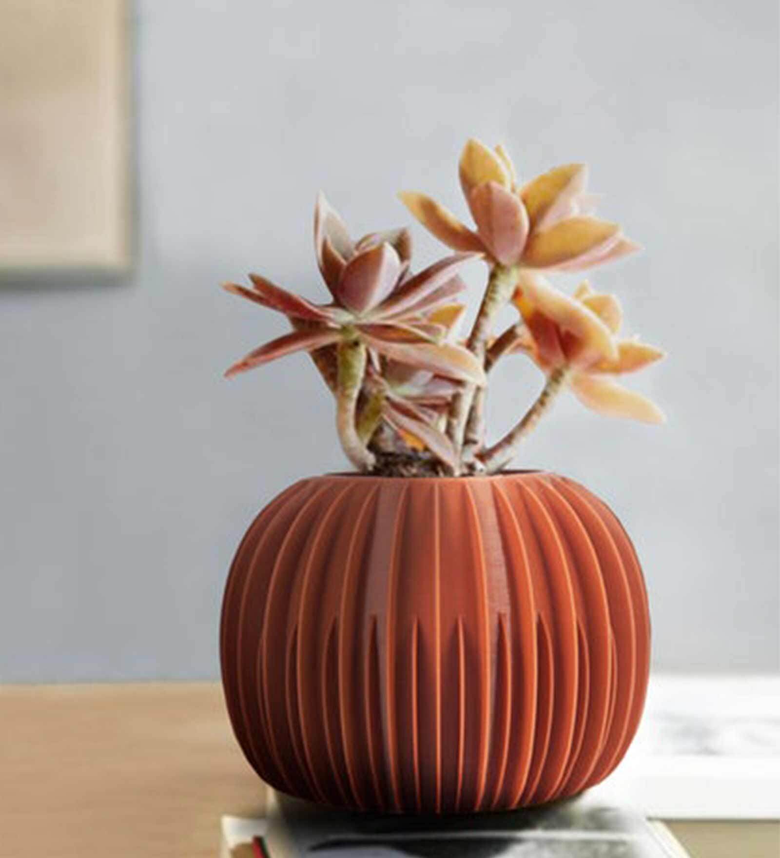 Buy Fluid Julia Plastic Table Vase at 30% OFF by The Artment | Pepperfry