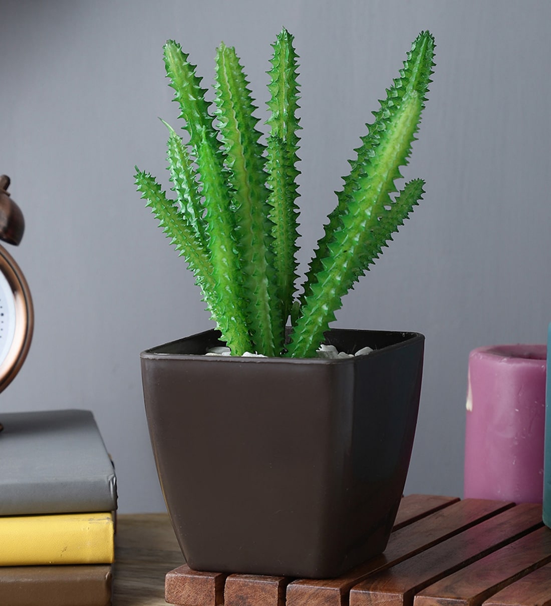 Buy Plastic Green 13 Branch Cactus Artificial Plants at 63% OFF by ...