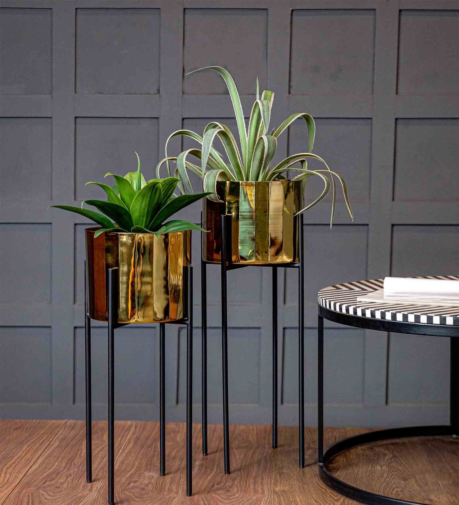 Buy Gaia Shiny Gold and Black Stainless Steel Planter stand with Pot at ...