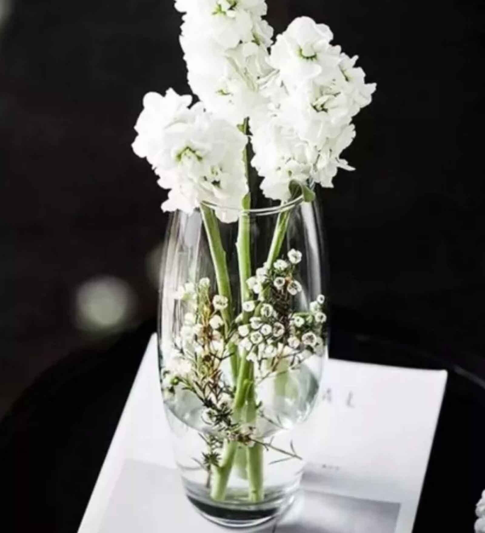 Buy Glass Cylinder Shape With Vertical Ridges at 38% OFF by Clovefry ...