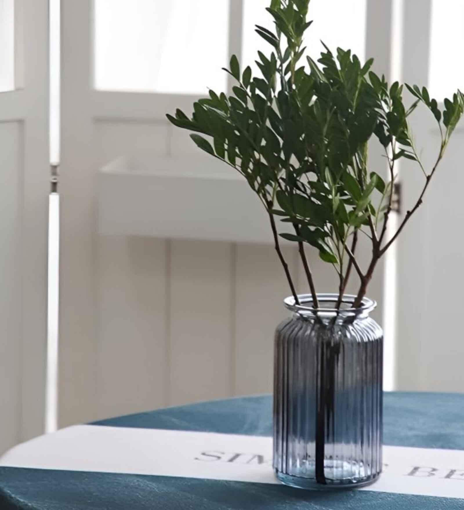 Buy Glass Cylinder Shape With Vertical Ridges at 39% OFF by Clovefry ...