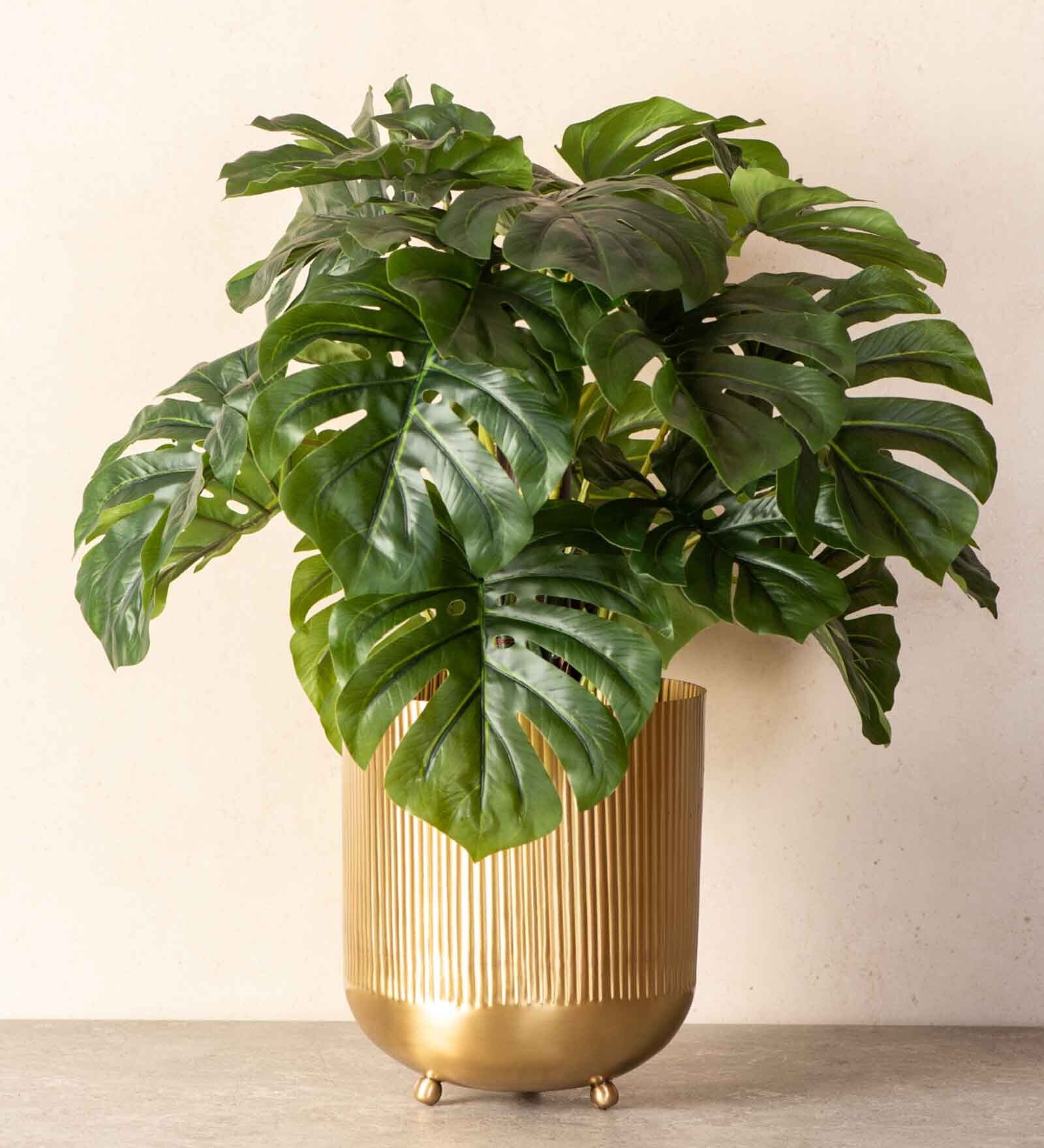 Buy Gold Ripple Cut Brass Planter at 20% OFF by The Decor Remedy ...
