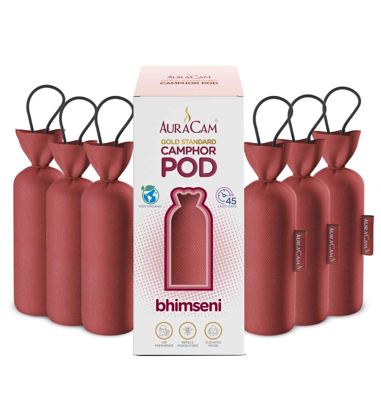 Buy Gold Standard Camphor Pod Cone Bhimseni- Set of 6 at 100% OFF by ...