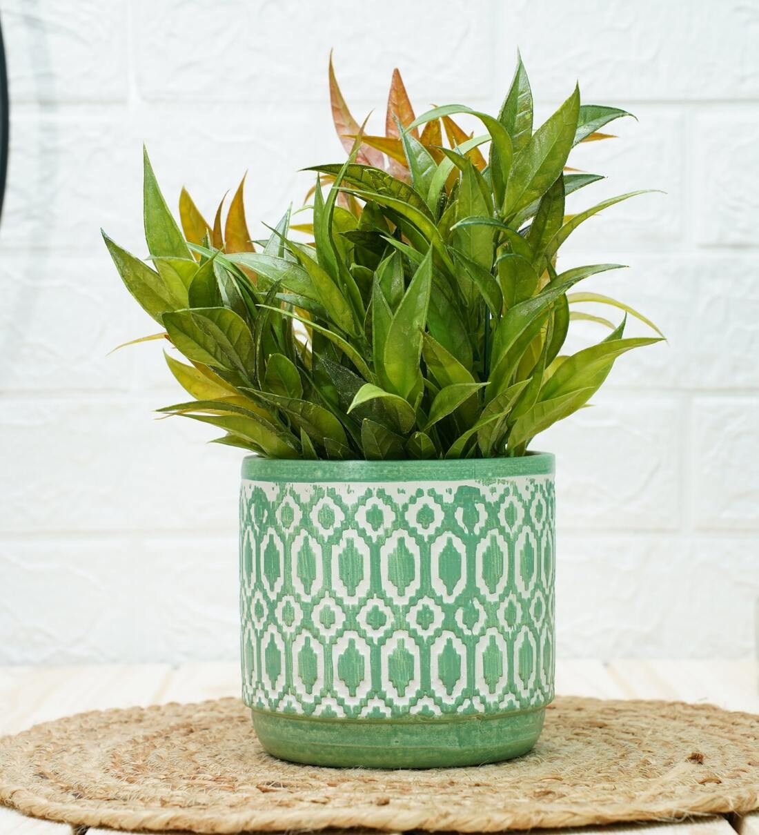 Buy Green Ceramic Aztec Planter By Gold Dust Online - Desk Pots - Pots ...