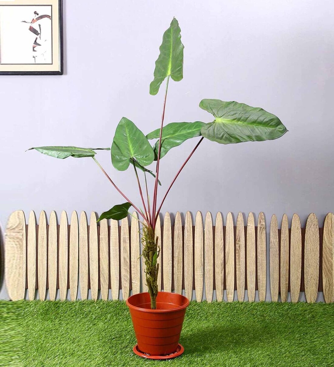 Buy Green Polyester Artificial Monstera Plant Without Pot by ...