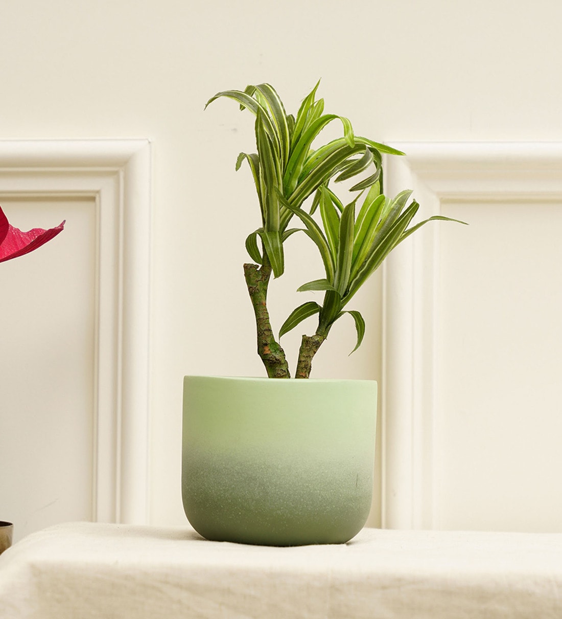 Buy Smoky Green Terracotta Desk Pot by Purezento at 39% OFF by ...