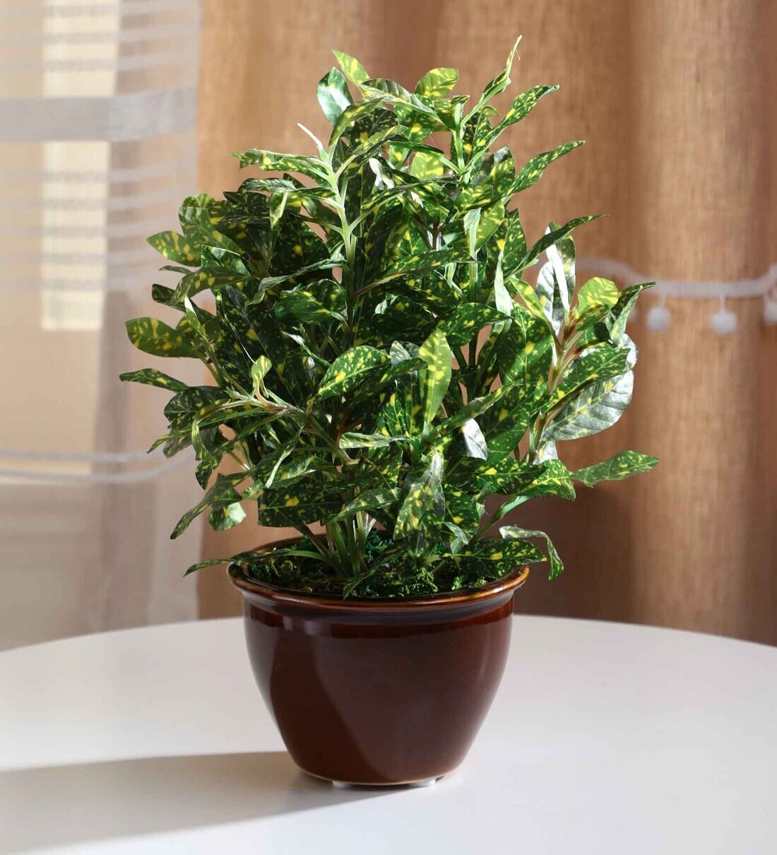 Buy Green/Yellow Plastic Artificial Croton Bonsai Plant With Ceramic ...