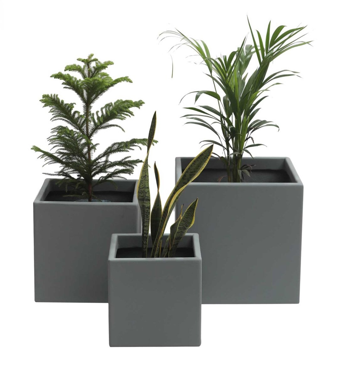 Buy Grey Fiber Glass Square Shaped Large Floor Planter, Set of 3 by ...
