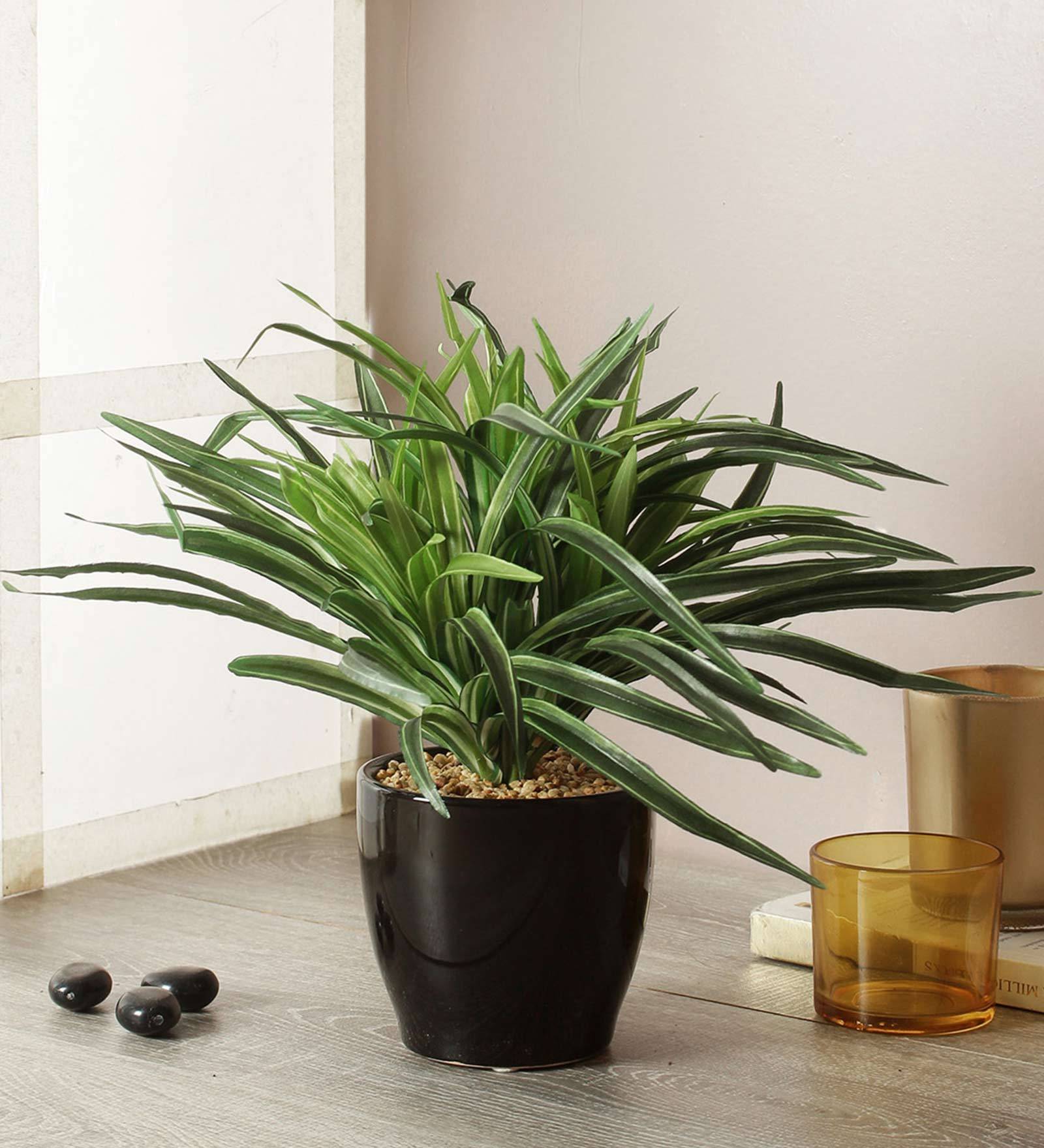 Buy Green & White Polyester Dracaena Artificial Plant With Ceramic Pot ...