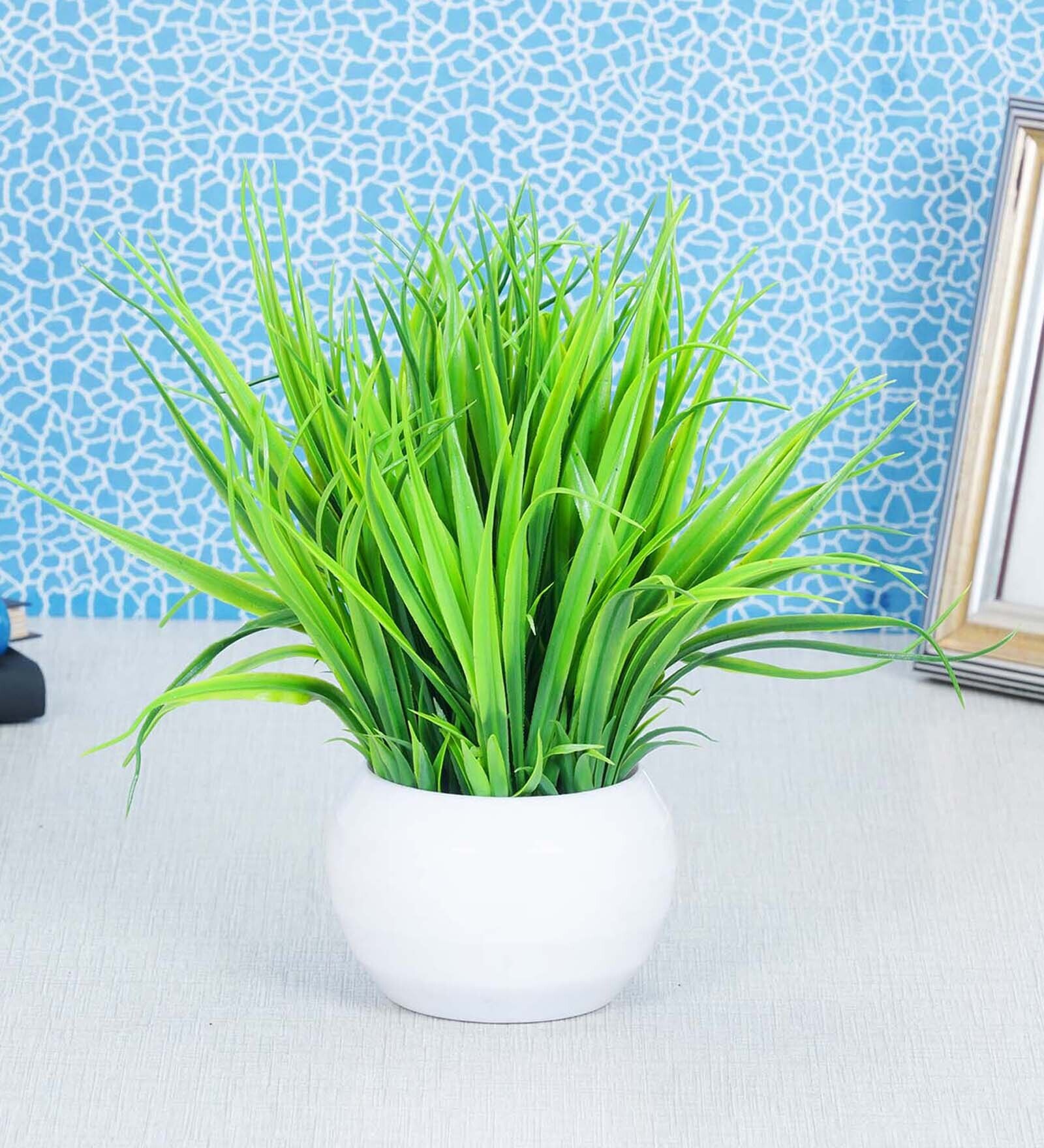 Buy Fabric & Plastic Lucy Green With Pot Artificial Plant at 29% OFF by ...