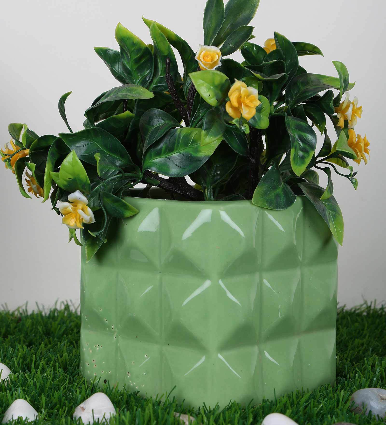 Buy Green Ceramic Diamond Box Planter at 30% OFF by Justoriginals ...
