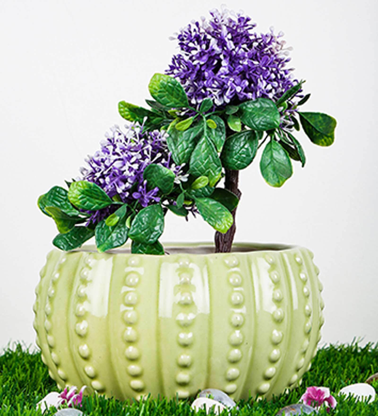 Buy Green Ceramic Dot Ball Shape Planter at 20% OFF by Justoriginals ...