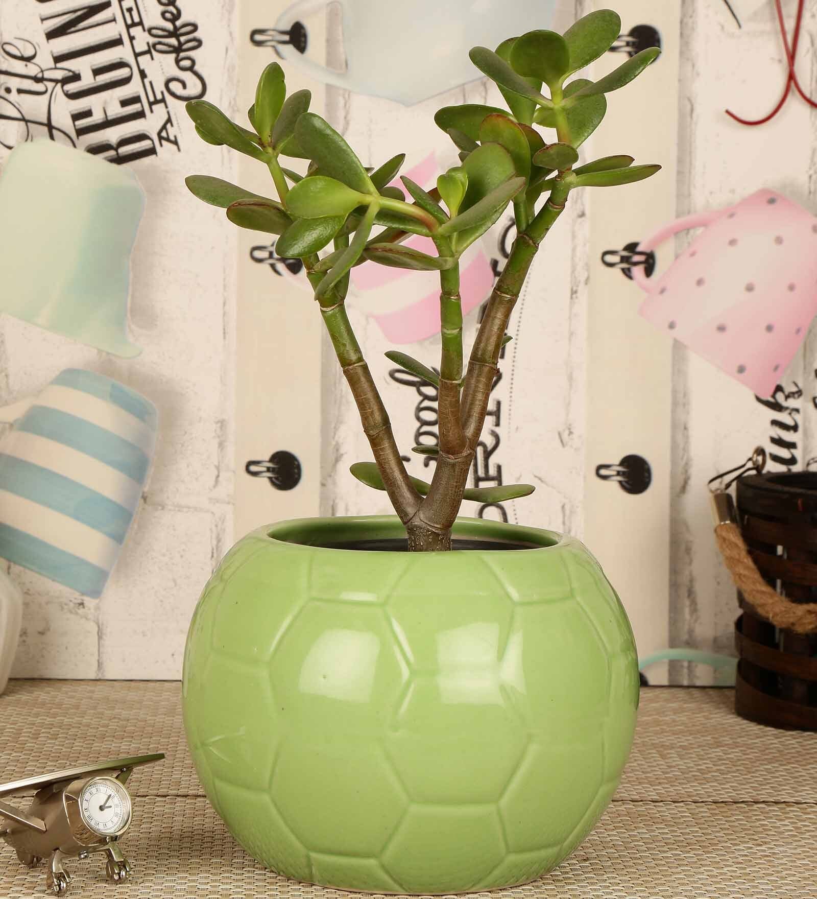 Buy Green Ceramic Football Shape Desk Pot by Justoriginals at 33% OFF ...