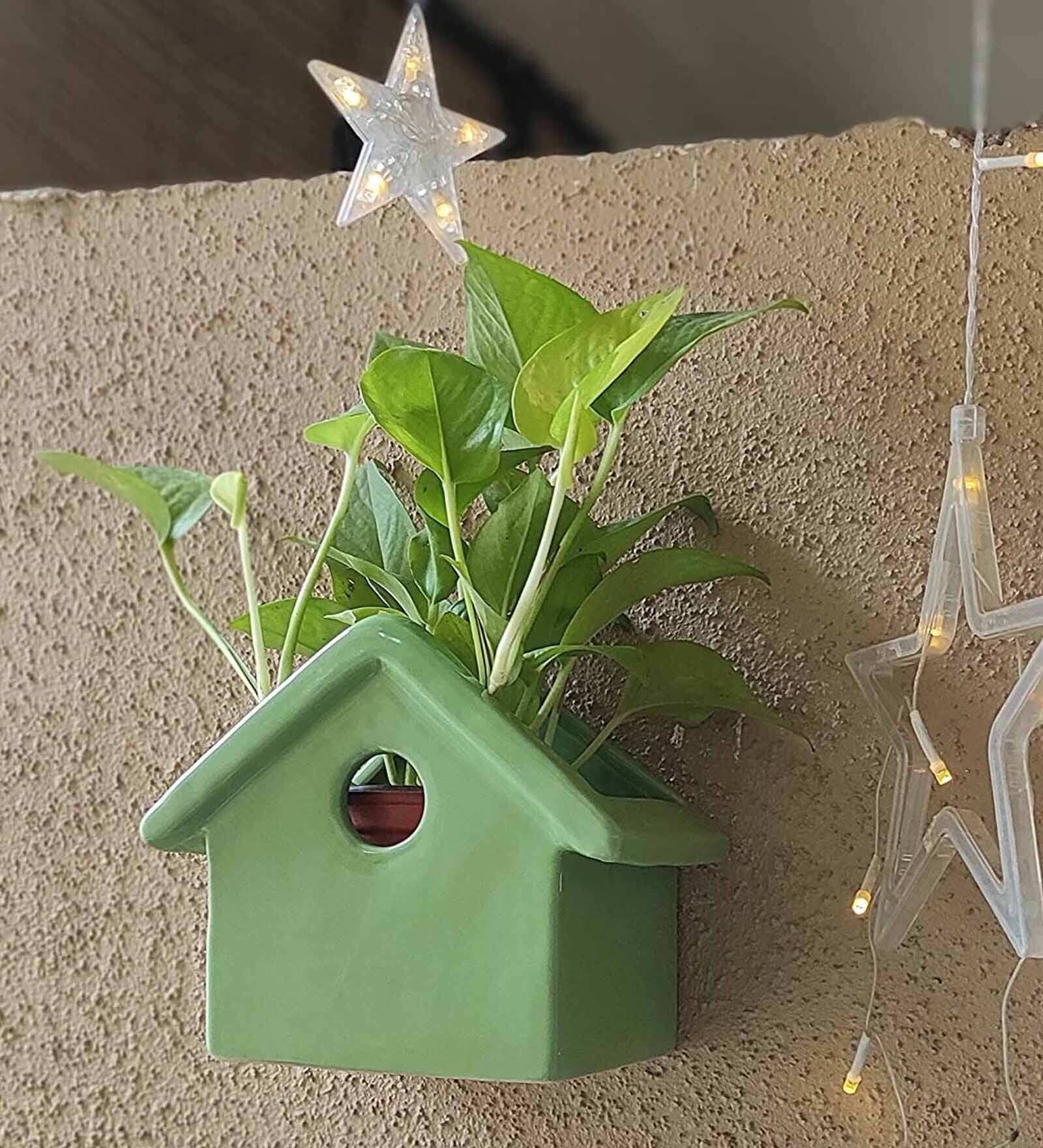 Buy Green Ceramic Hut Shape Wall Planter by Justoriginals at 17% OFF by ...