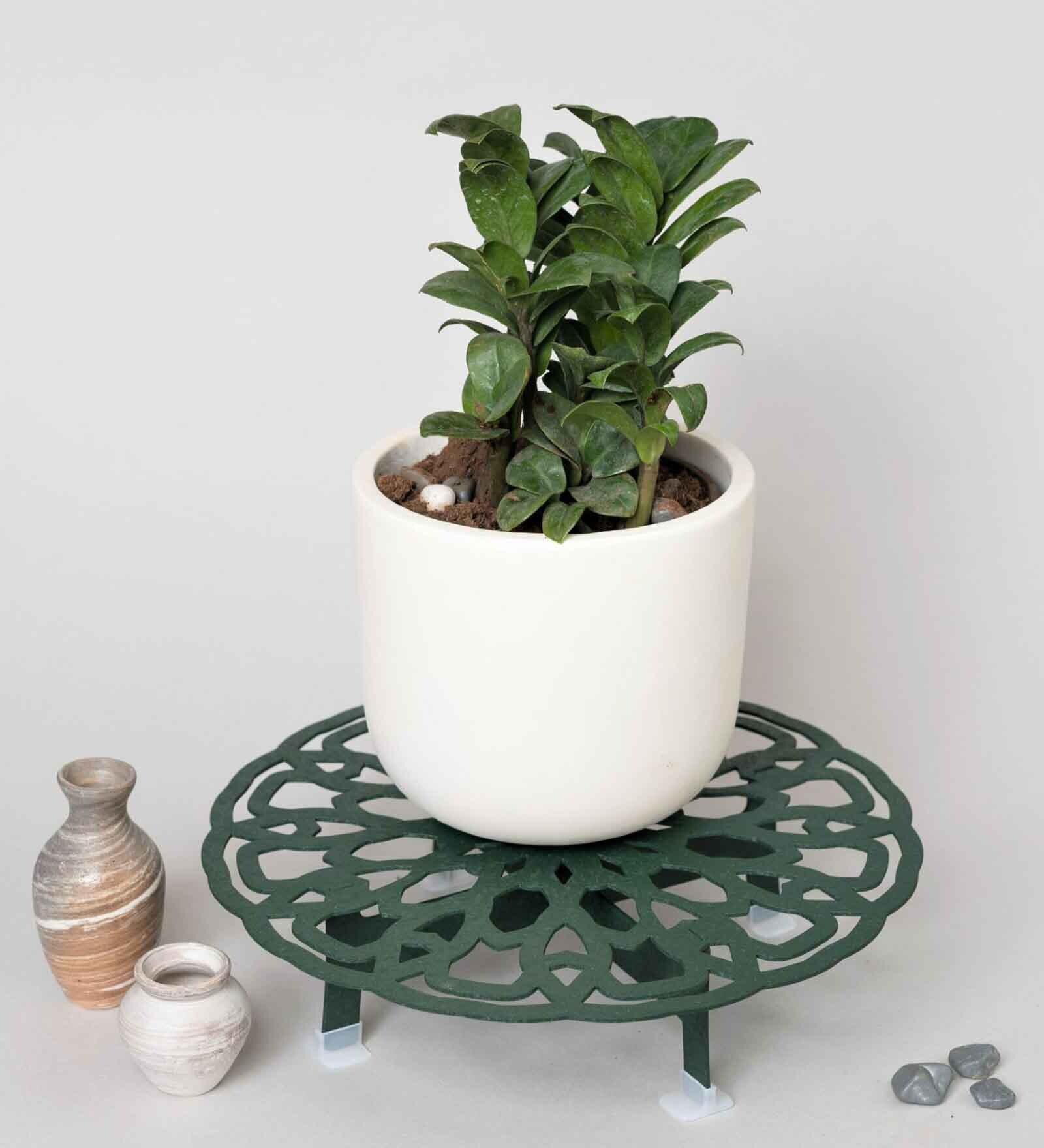Buy Green Mild Steel Planter Stand at 33% OFF by Earthy Abode | Pepperfry