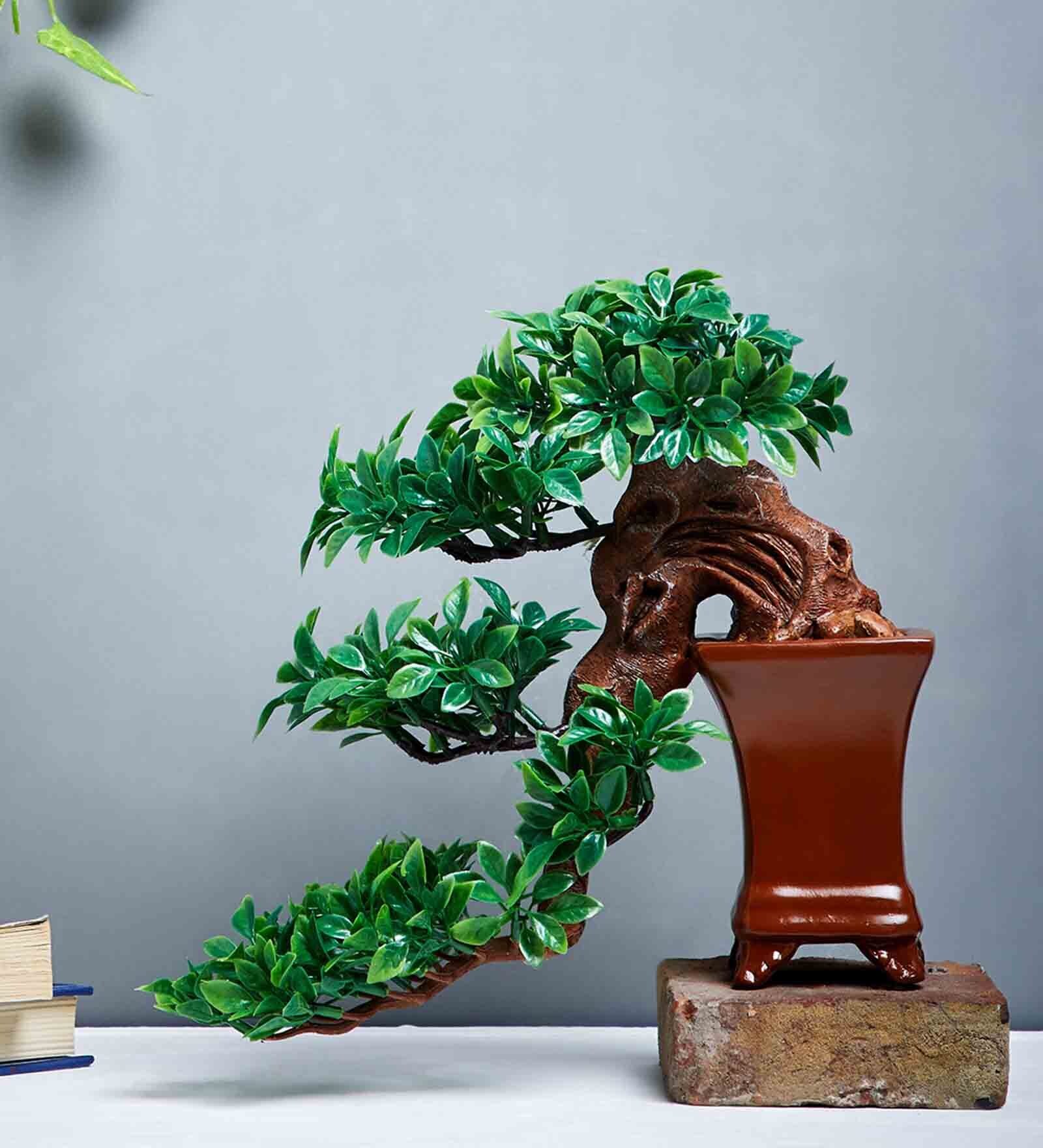 Buy Plastic Deborah Green Bonsai With Resin Pot By Oddcroft Artificial ...