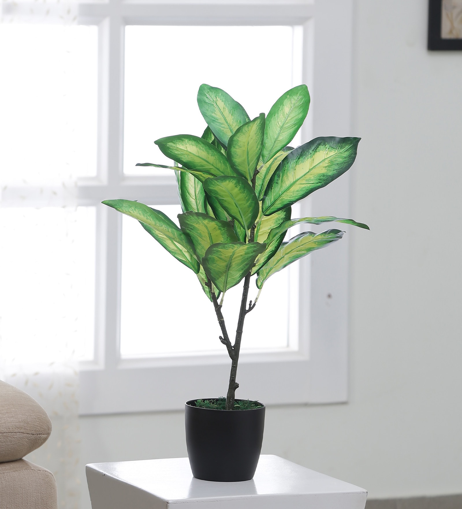 Buy Green Polyester and Plastic Artificial Plant by Arick D cor at 36% ...