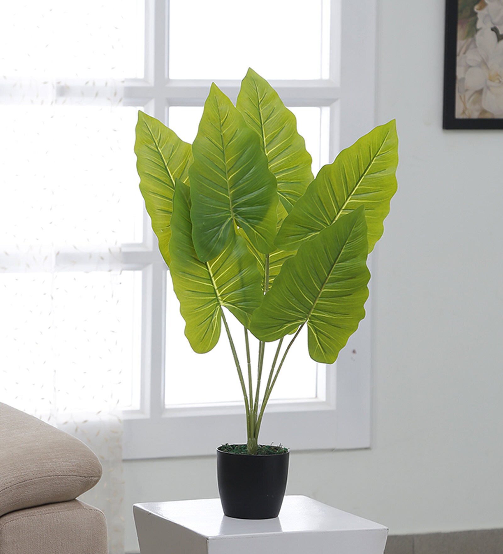 Buy Green Polyester and Plastic Artificial Plant by Arick D cor at 44% ...