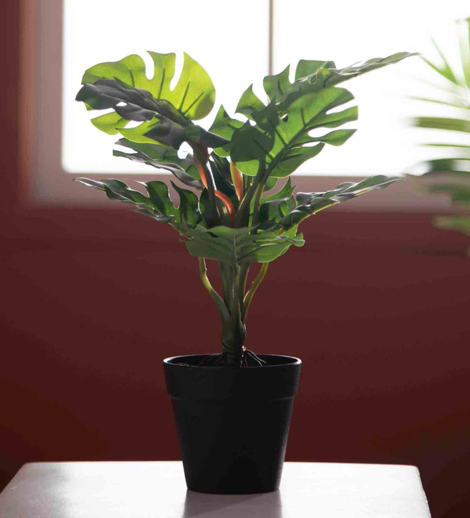 Buy Green Polyester Artificial Bonsai Plant without Pot at 33% OFF by ...