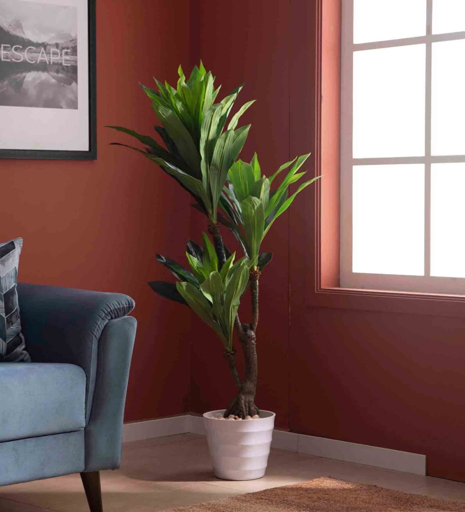 Buy Polyester Tracey Green Dracaena Without Pot Artificial Plant at 40% ...