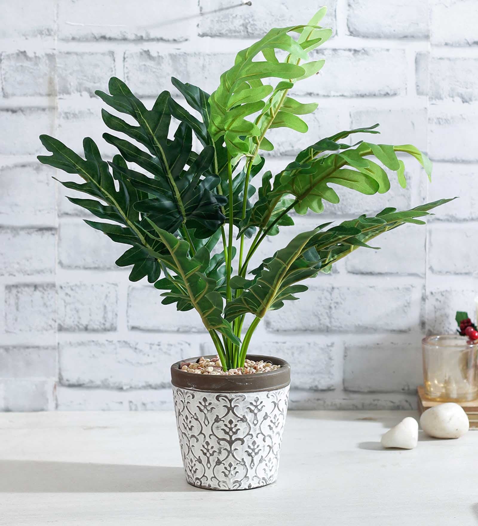 Buy Polyester Luna Green With Pot Artificial Plant at 16% OFF by Tayhaa ...