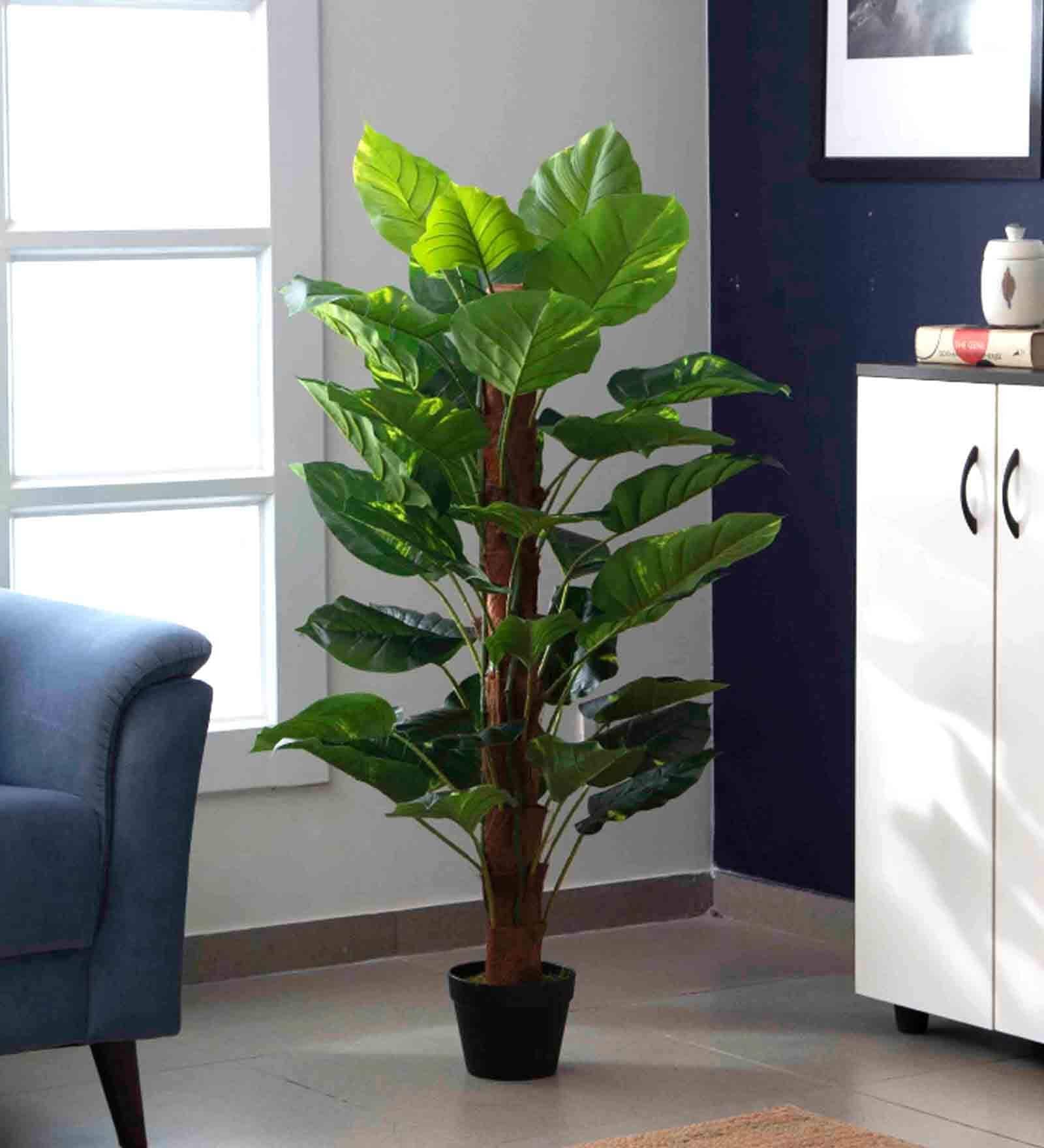 Buy Polyester Melody Green Pothos Philo With Pot Artificial Plant at 24 ...