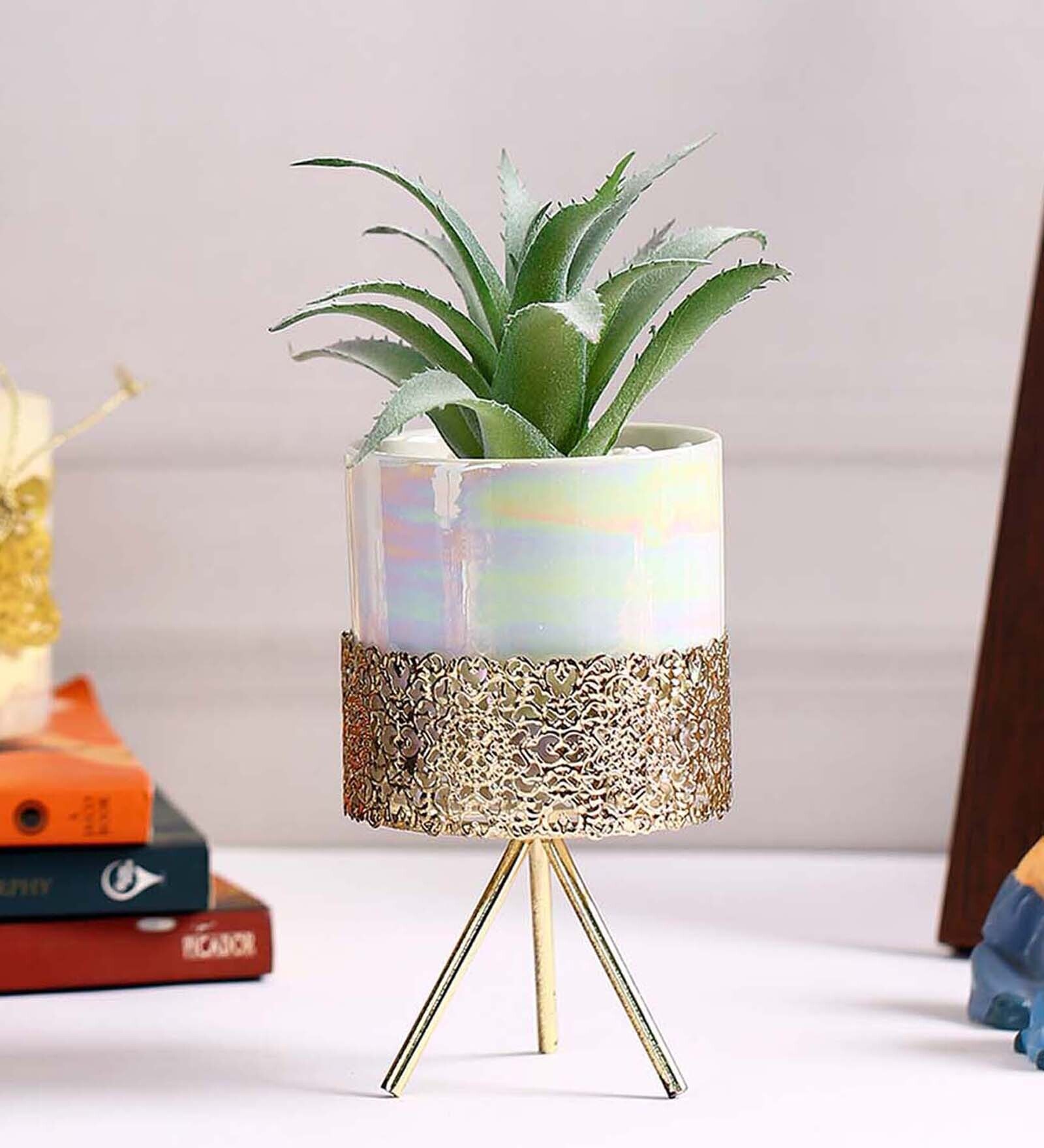 Buy Polyurethane Alyss Green Succculent In Ceramic Pot With Metal Stand ...