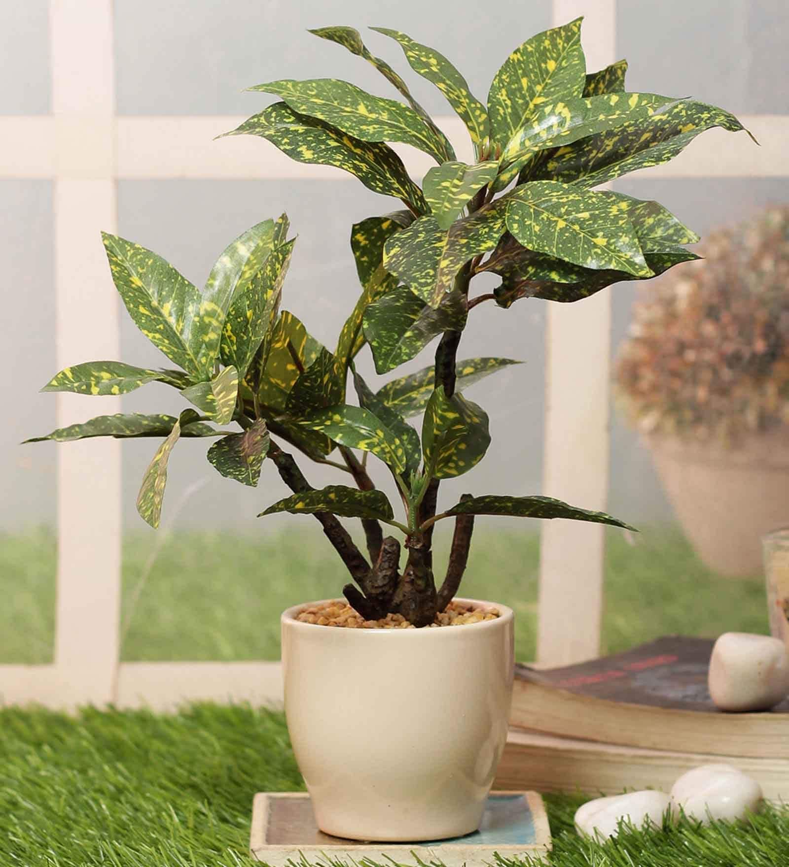 Buy Green Pvc Croton Artificial Bonsai With Off- White Ceramic Pot by ...