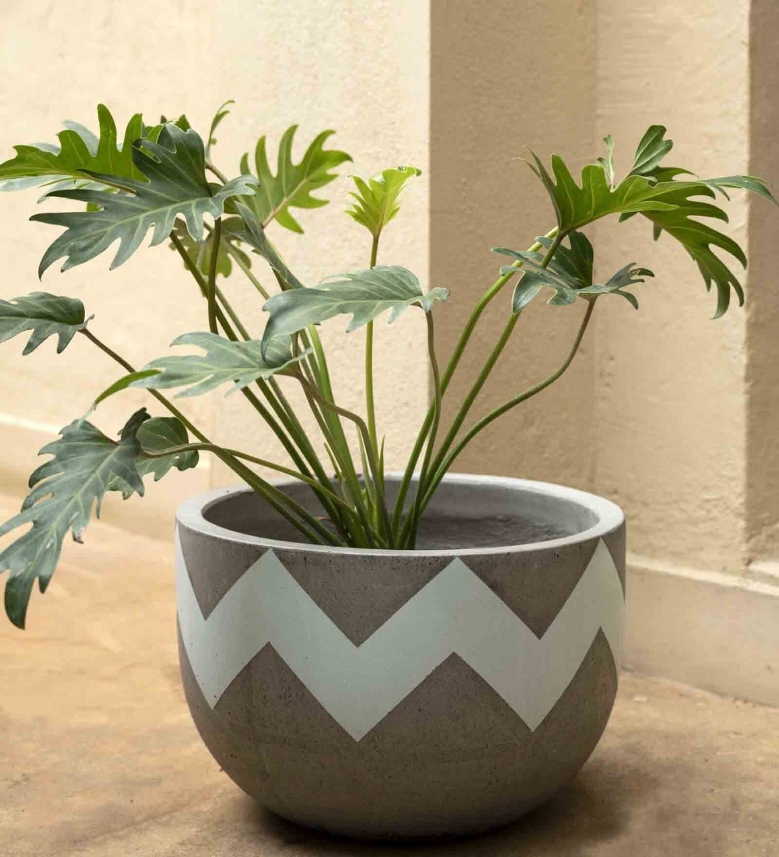 Buy Grey Concrete Fan Flare Small Floor Planter By Curiocasa by ...