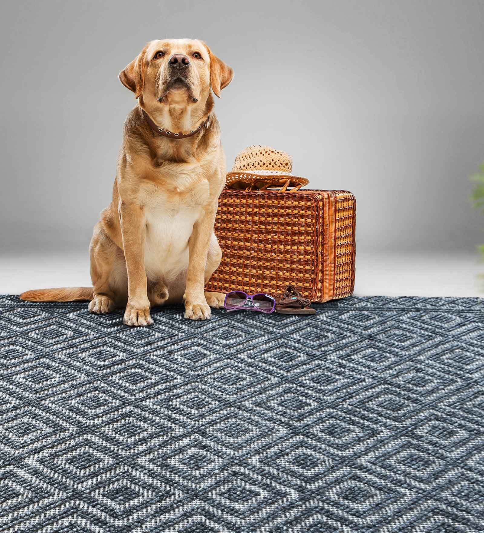 Buy Grey Geometric Wool And Viscose 5 ft x 7 ft Hand Woven Carpet by ...