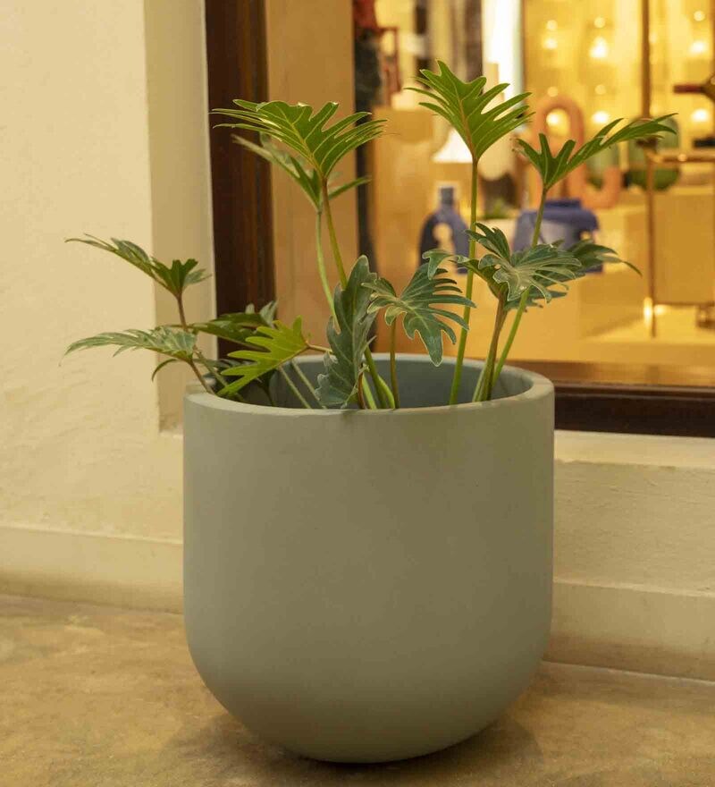 Buy Green Concrete Sage Sage Large Floor Planter By Curiocasa Online - Floor Planters - Pots ...