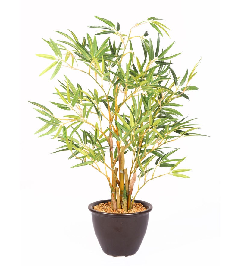 Buy Green Polyester Artificial Plant With pot by Pollination Online ...