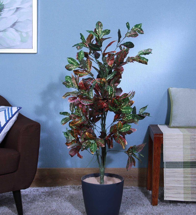 Buy Green Synthetic Artificial Croton Plant by Fourwalls Online ...