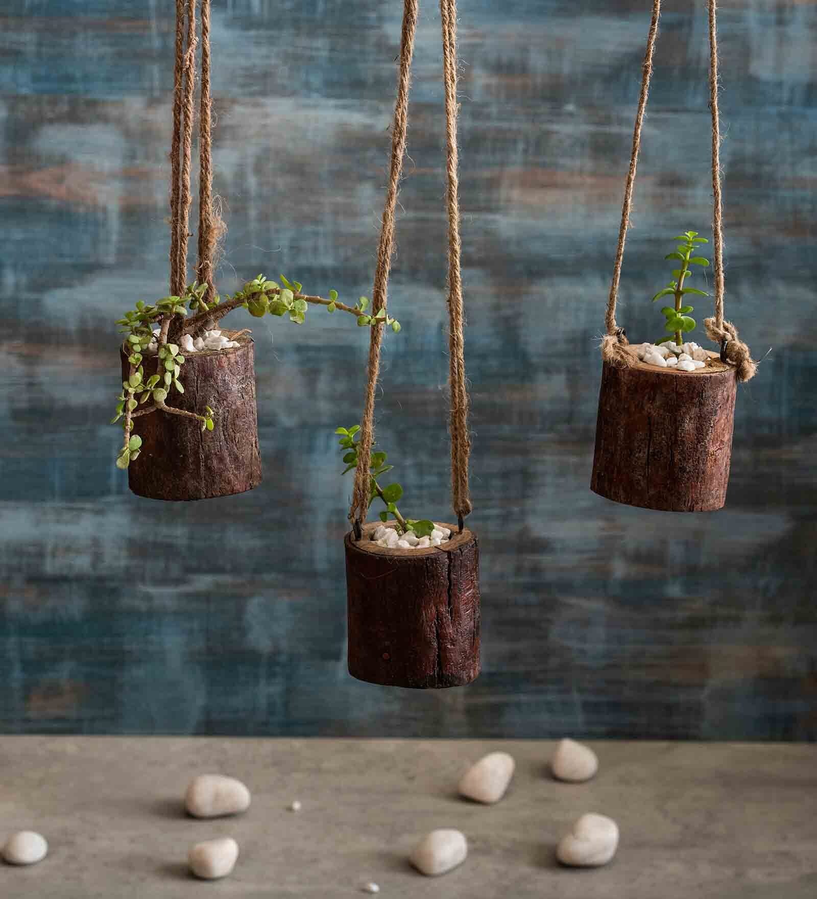Buy Hanging Wooden Log Planter, Set of 2 by A Tiny Mistake at 24% OFF ...