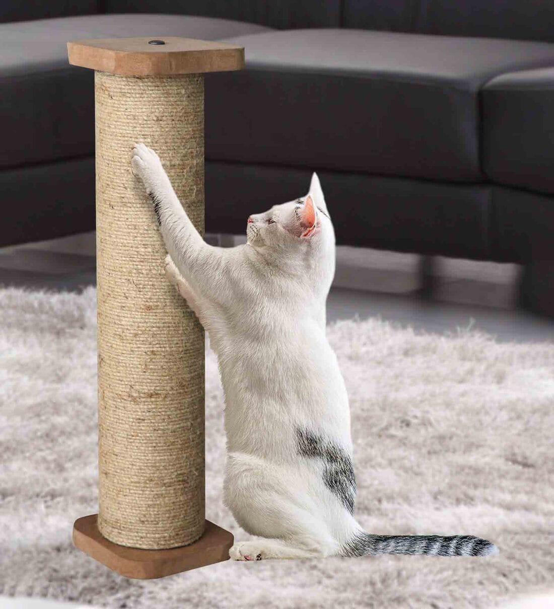 Buy Horizontal Single Sisal Rope Cat Scratcher Large Size In Brown ...