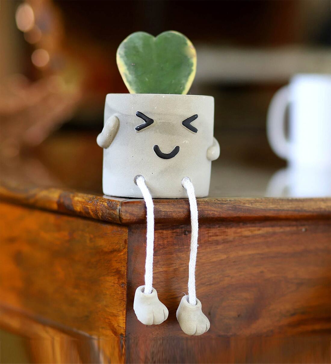 Buy Hoya Natural Plant In Grey Sitting Smiley Ceramic Pot by Ferns N ...