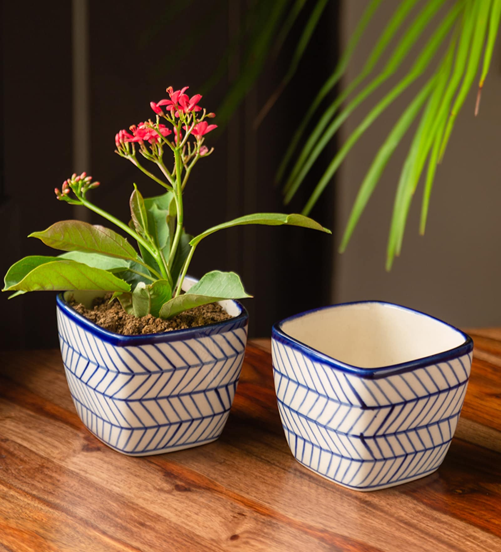 Buy Indigo Blue & White Ceramic Indigo Chevron Duo Handpainted Desk Pot ...