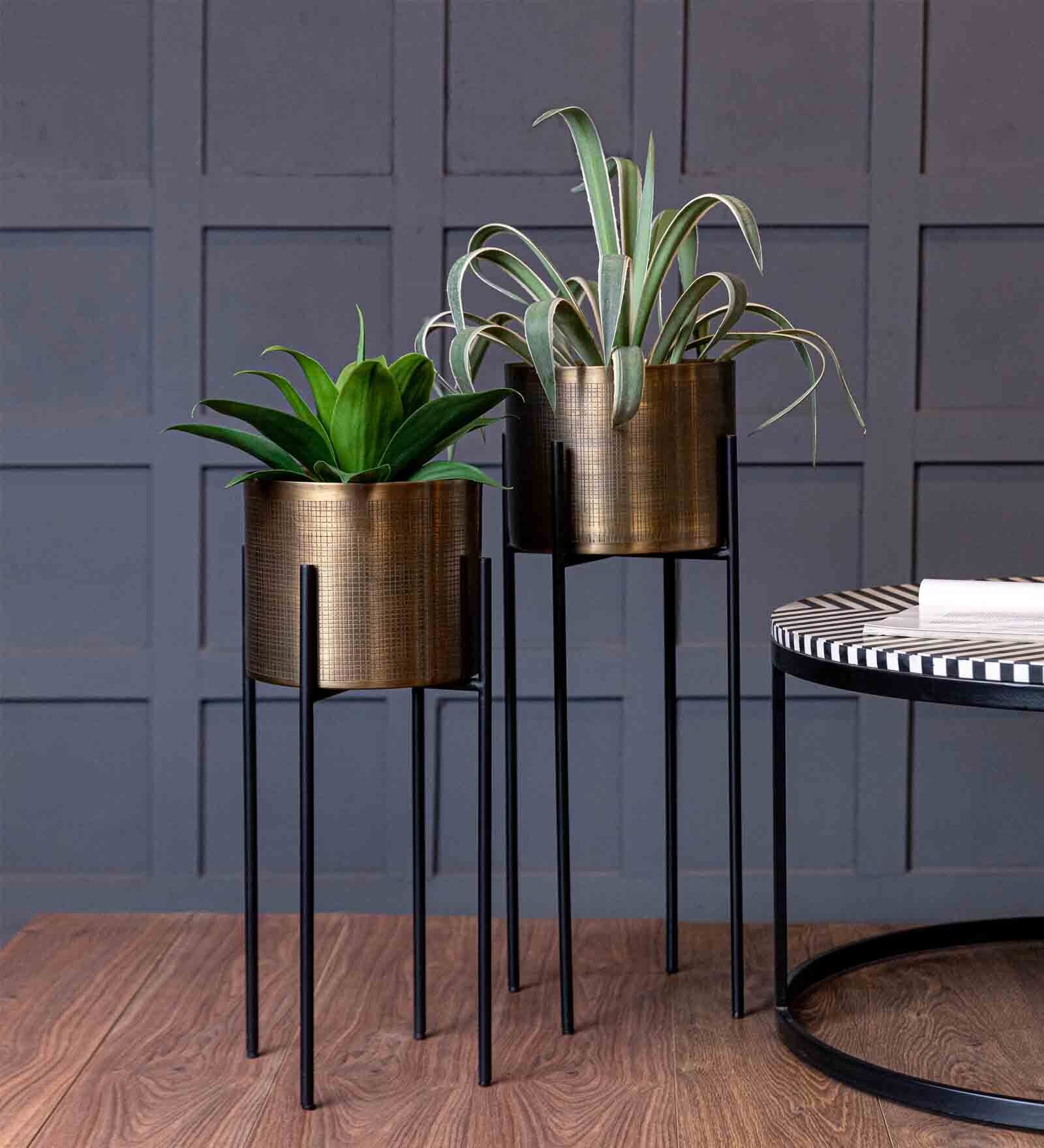 Buy Keffiyeh Antique Brass and Black Stainless Steel Big Planter by ...